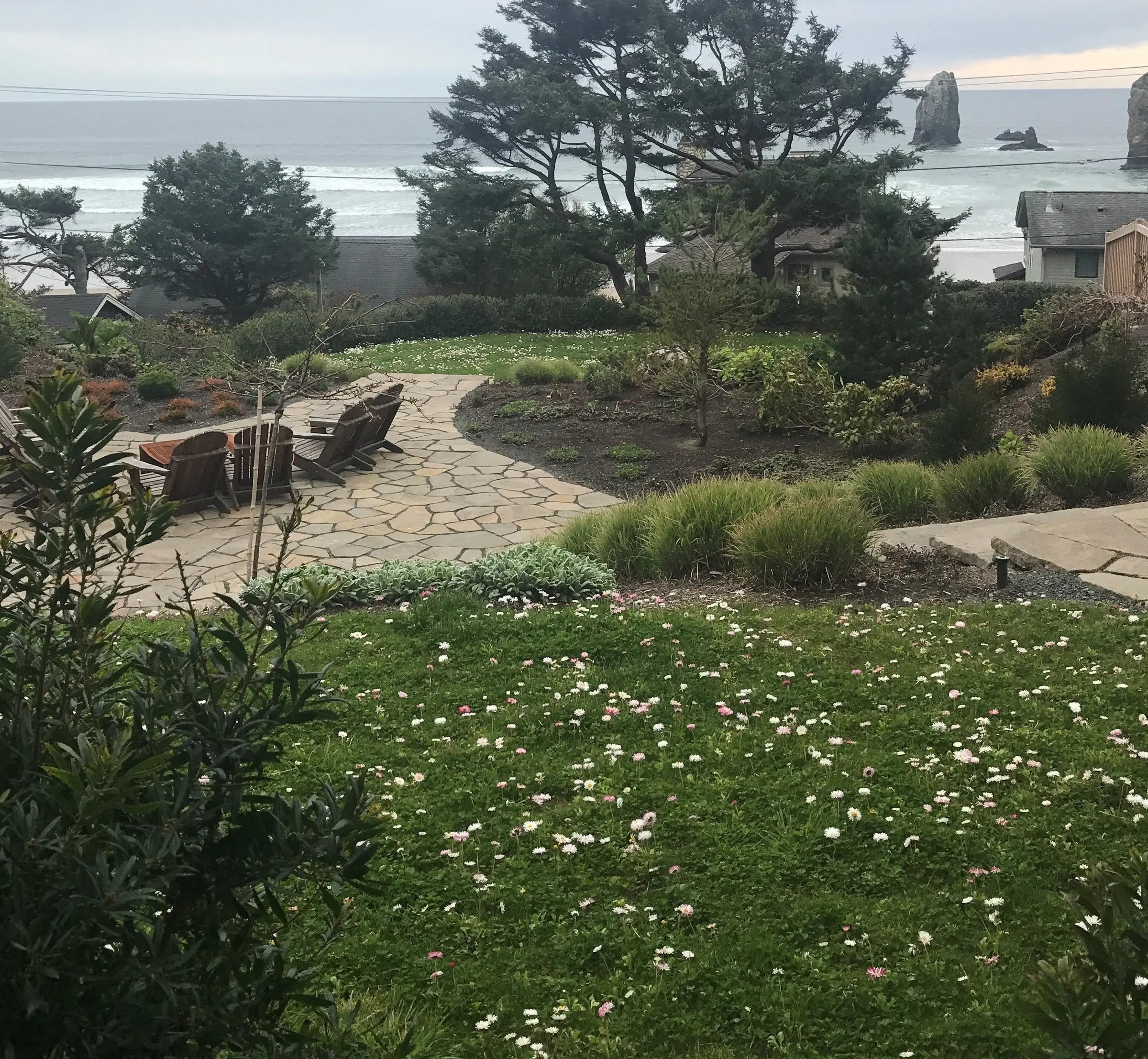 Eco-lawns & Meadows– Pro Time Lawn Seed