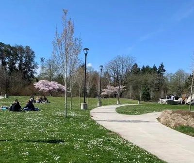 PT 755 Fleur de Lawn® - Pro Time Lawn Seed