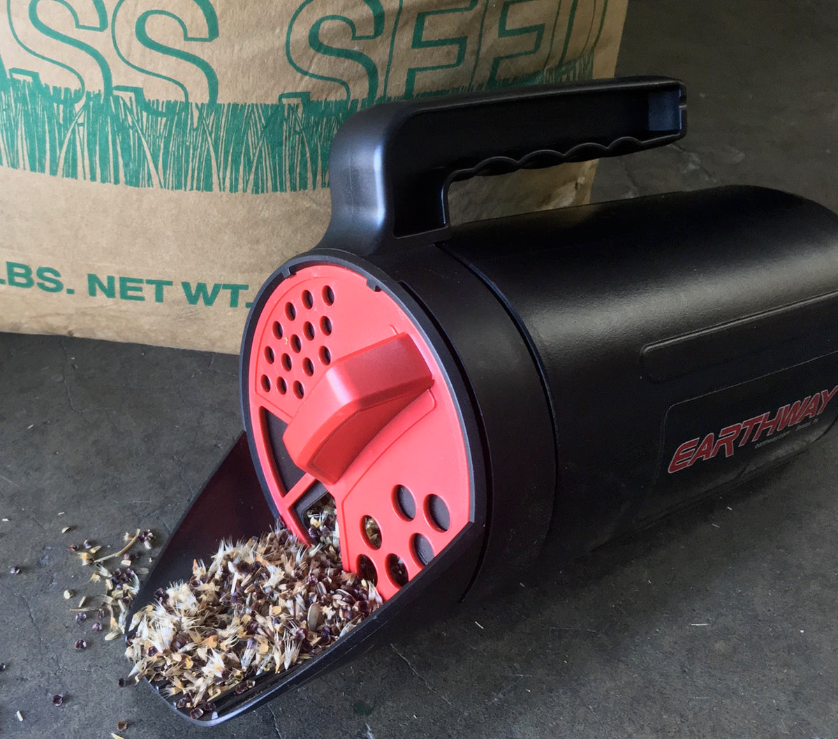 Pacific Northwest Native Seed– Pro Time Lawn Seed